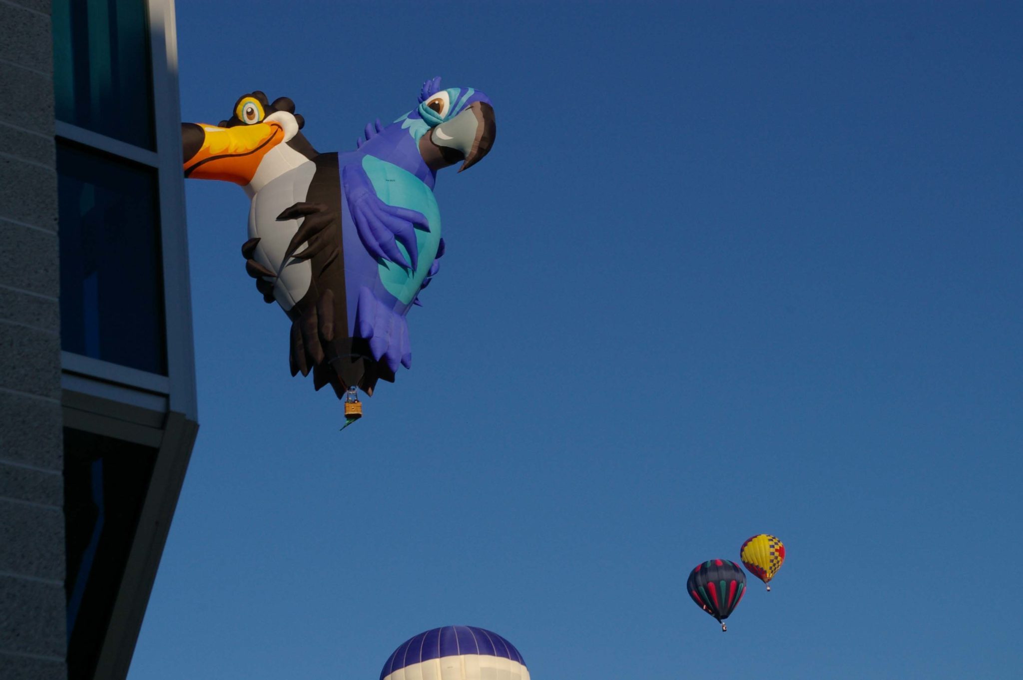 Largest Ballooning Event Marks 50 Years – LTA-Flight Magazine